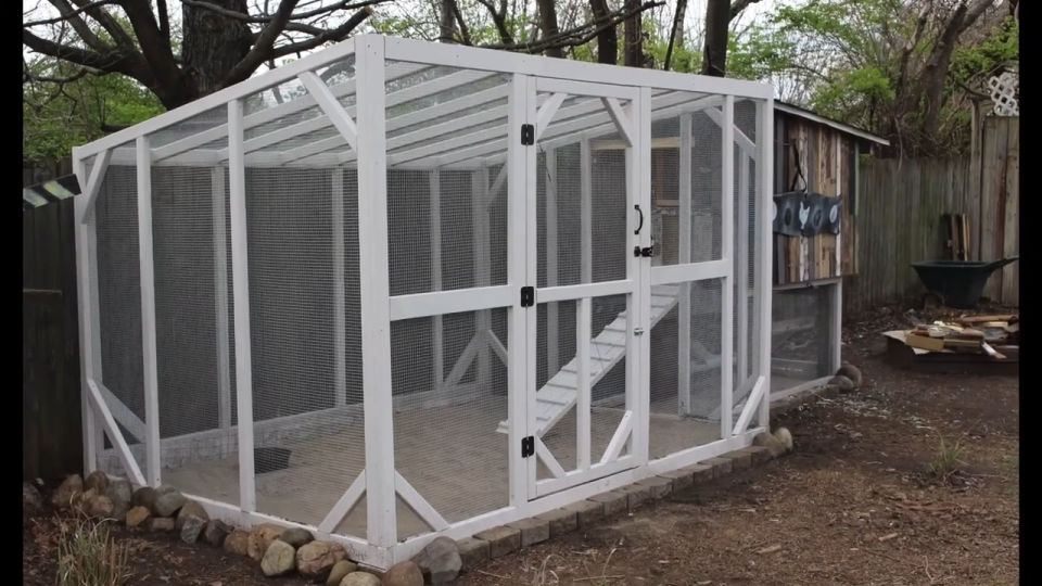 DIY Chicken Run Plans to Build - Blitsy