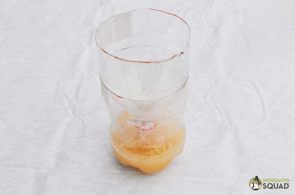 DIY Mosquito Trap to Keep Mosquitoes at Bay - Blitsy