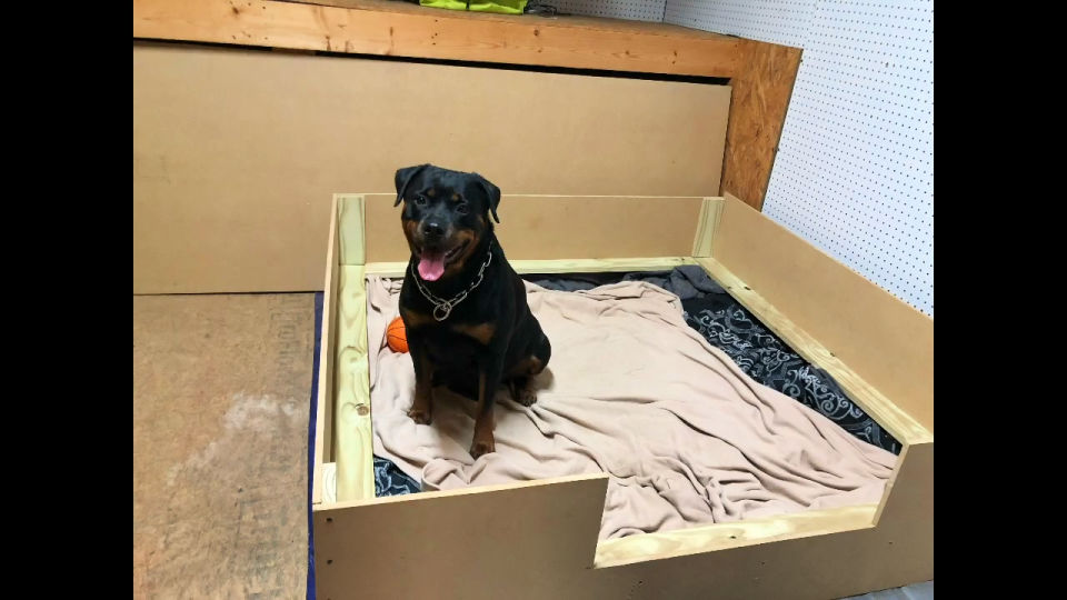 DIY Whelping Box For Your Pregnant Dog - Blitsy