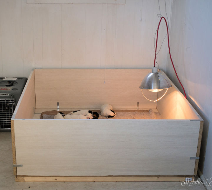 DIY Whelping Box For Your Pregnant Dog - Blitsy