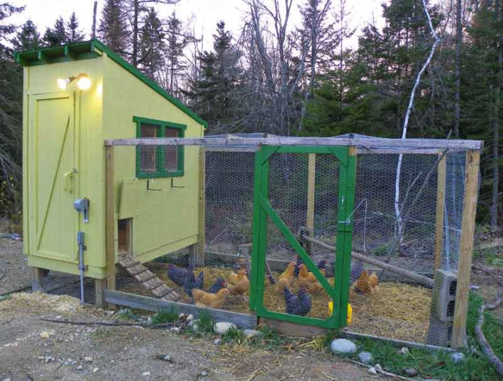 DIY Chicken Run Plans to Build - Blitsy