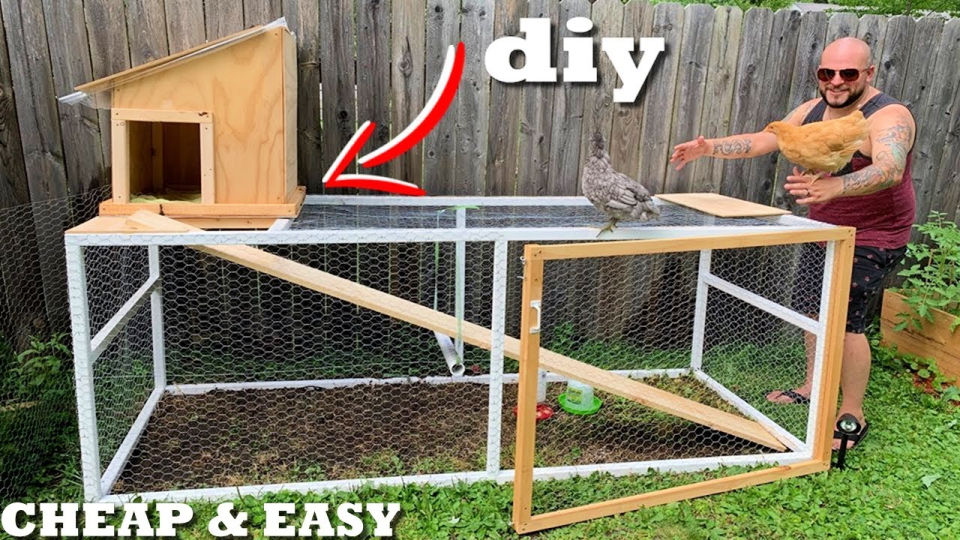 DIY Chicken Run Plans to Build - Blitsy