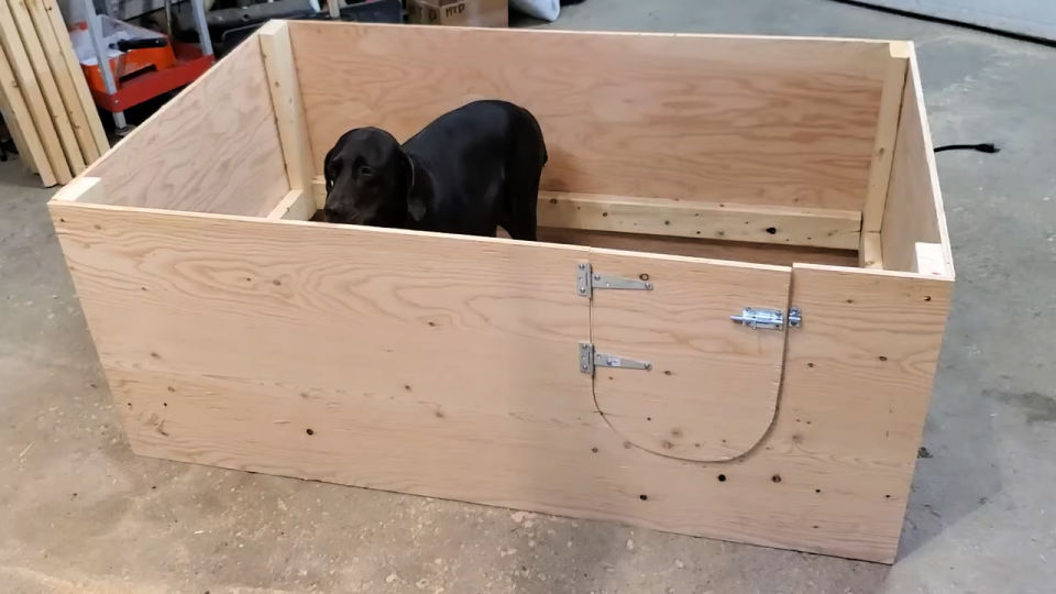 DIY Whelping Box For Your Pregnant Dog - Blitsy