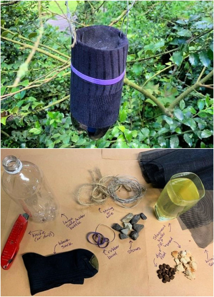 DIY Mosquito Trap to Keep Mosquitoes at Bay - Blitsy