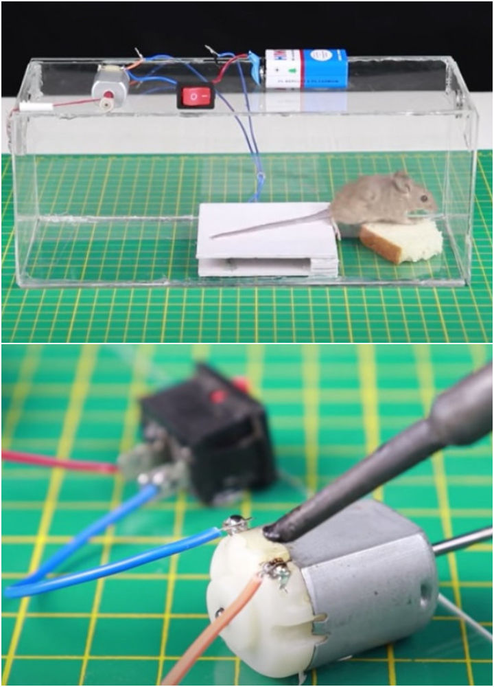 Homemade DIY Mouse Trap - Blitsy