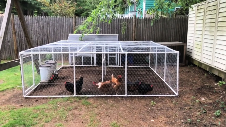 DIY Chicken Run Plans to Build - Blitsy