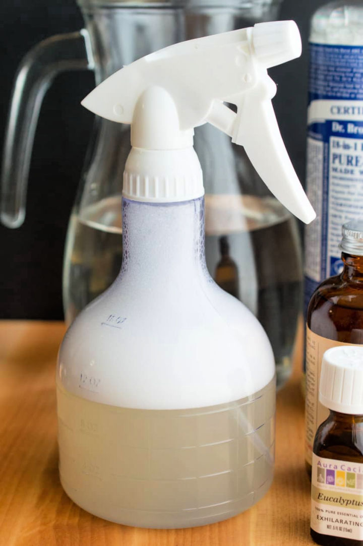 Homemade DIY Ant Killer - Blitsy