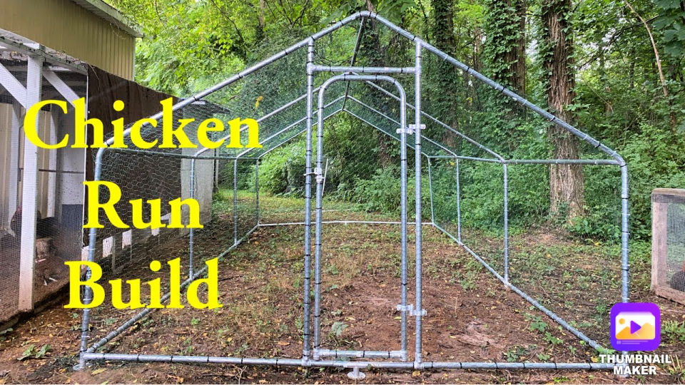 DIY Chicken Run Plans to Build - Blitsy