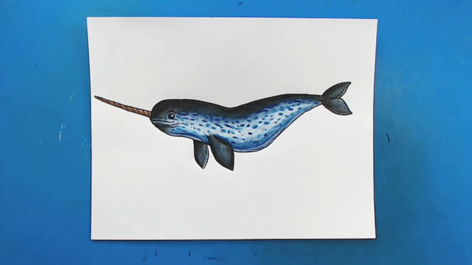 25 Easy Narwhal Drawing Ideas - How to Draw a Narwhal