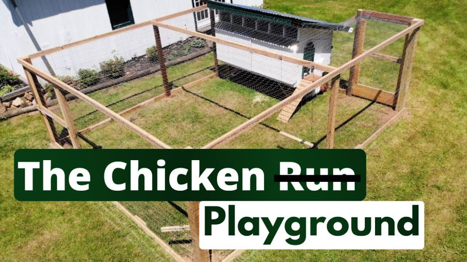 DIY Chicken Run Plans to Build - Blitsy