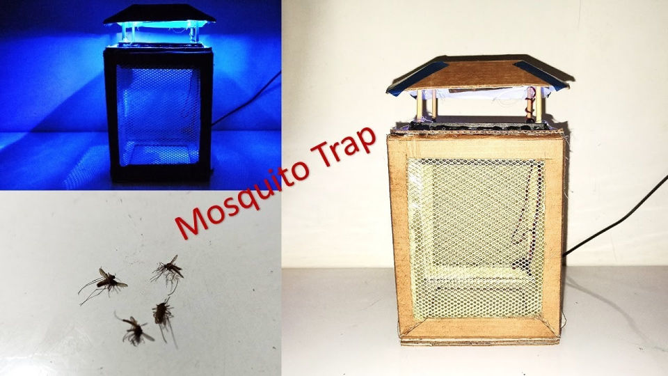 DIY Mosquito Trap to Keep Mosquitoes at Bay - Blitsy