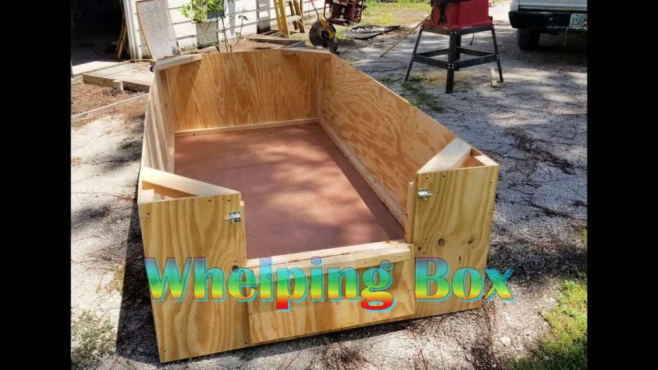 DIY Whelping Box For Your Pregnant Dog - Blitsy
