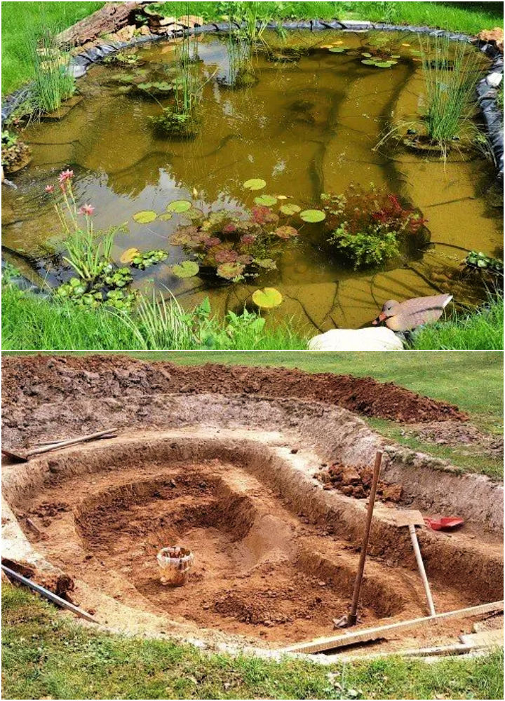 DIY Koi Pond Your Backyard Oasis - Blitsy