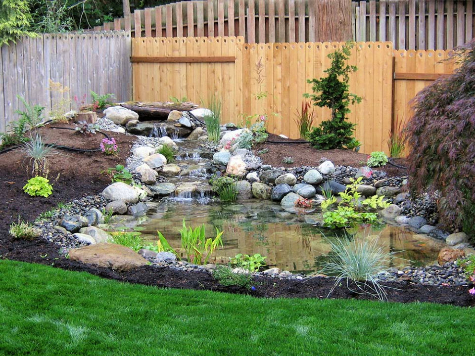 DIY Koi Pond Your Backyard Oasis - Blitsy