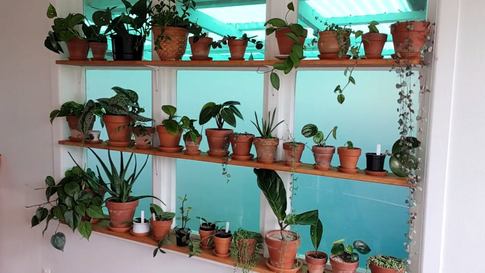 DIY Window Plant Shelf to Elevate Your Indoor Garden - Blitsy