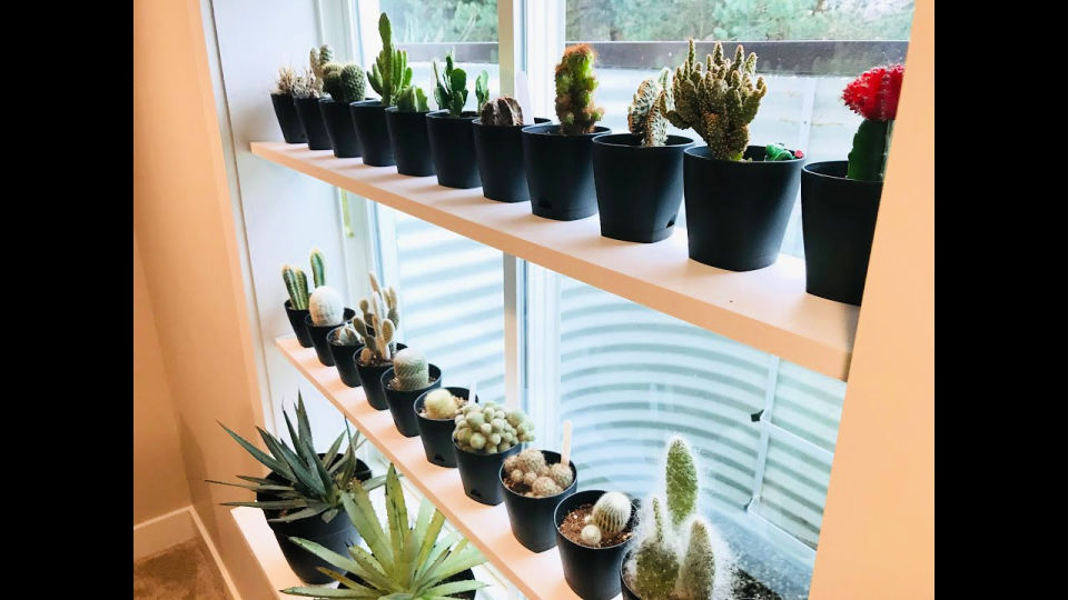 DIY Window Plant Shelf to Elevate Your Indoor Garden - Blitsy