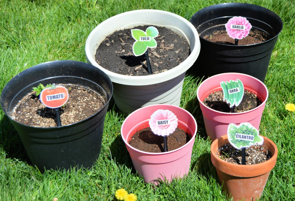25 Cool DIY Plant Labels & Markers - Blitsy