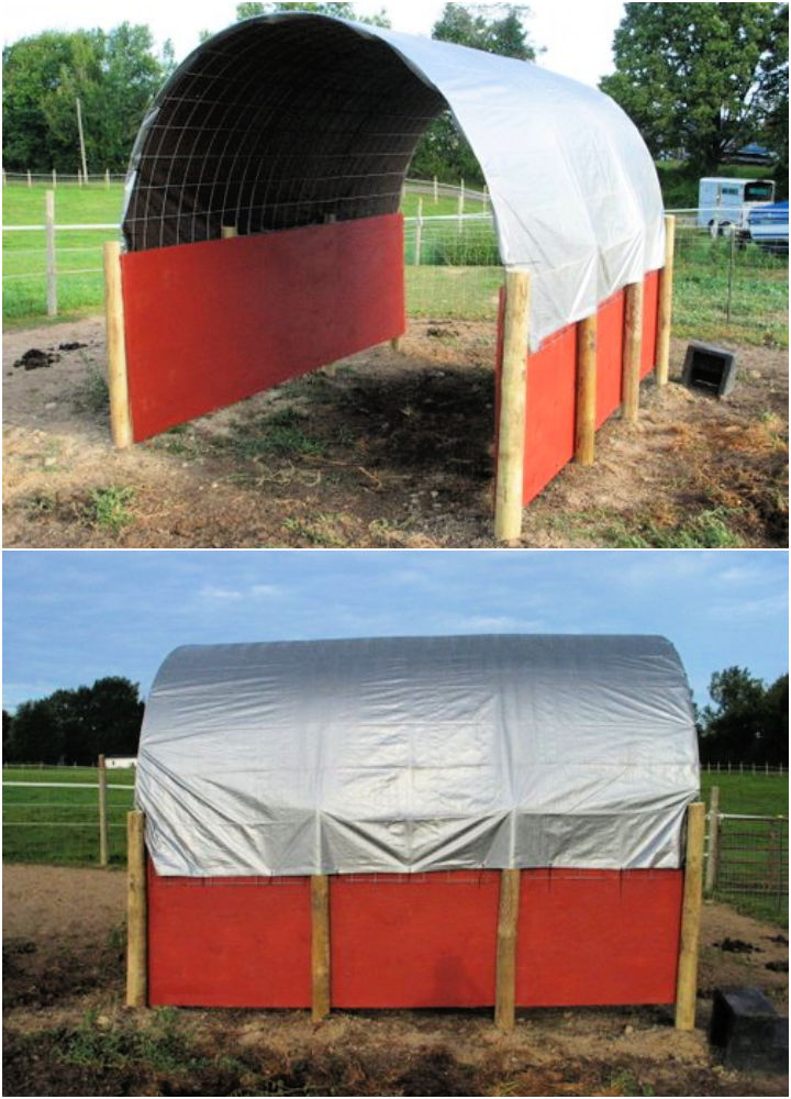 Simple DIY Horse Shelter on A Budget - Blitsy