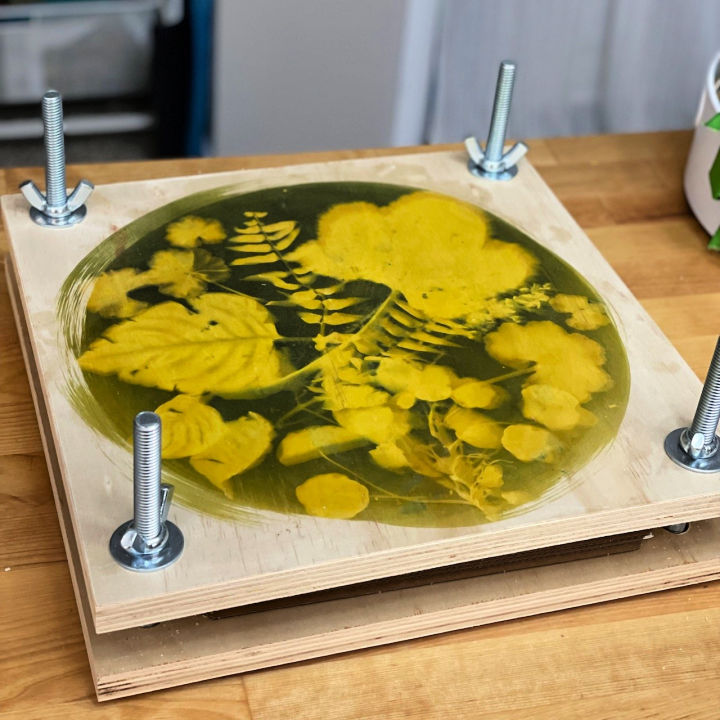 DIY Flower Press to Preserve Your Favorite Blooms - Blitsy