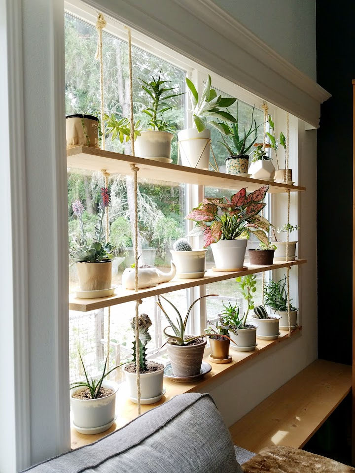 DIY Window Plant Shelf to Elevate Your Indoor Garden - Blitsy