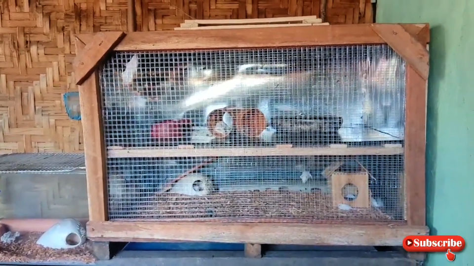 DIY Rat Cage - Step by Step Guide - Blitsy
