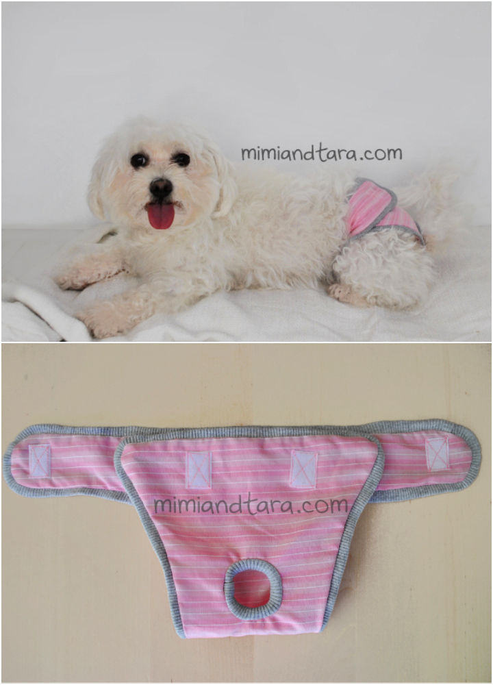 DIY Dog Diaper to Keep Your Furry Friend Comfortable - Blitsy