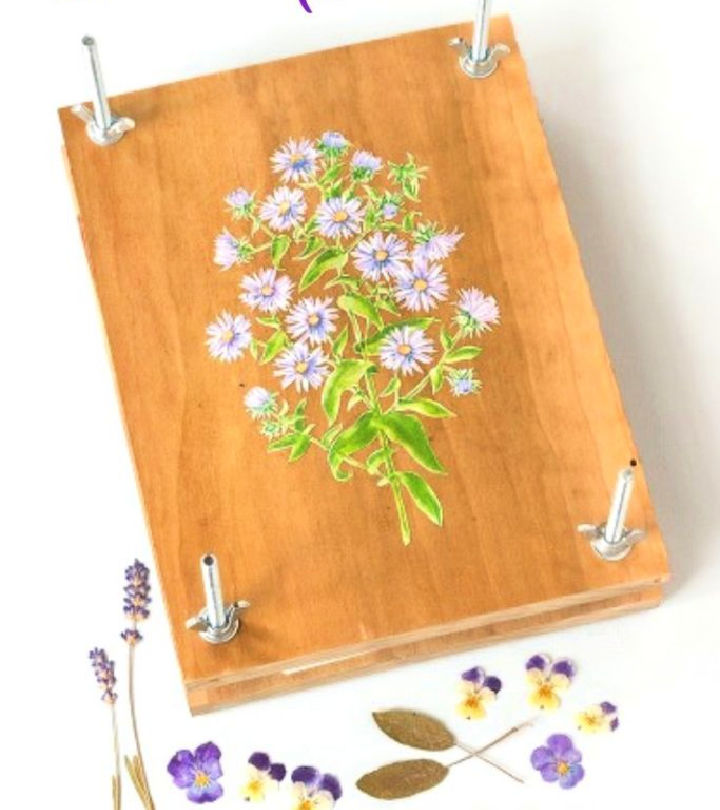 DIY Flower Press to Preserve Your Favorite Blooms - Blitsy