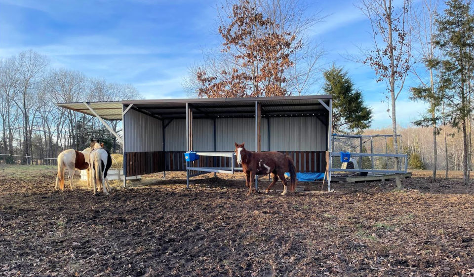 Simple DIY Horse Shelter on A Budget - Blitsy