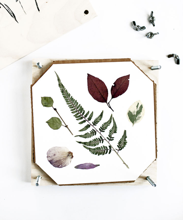 DIY Flower Press to Preserve Your Favorite Blooms - Blitsy