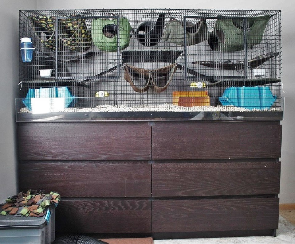 DIY Rat Cage - Step by Step Guide - Blitsy