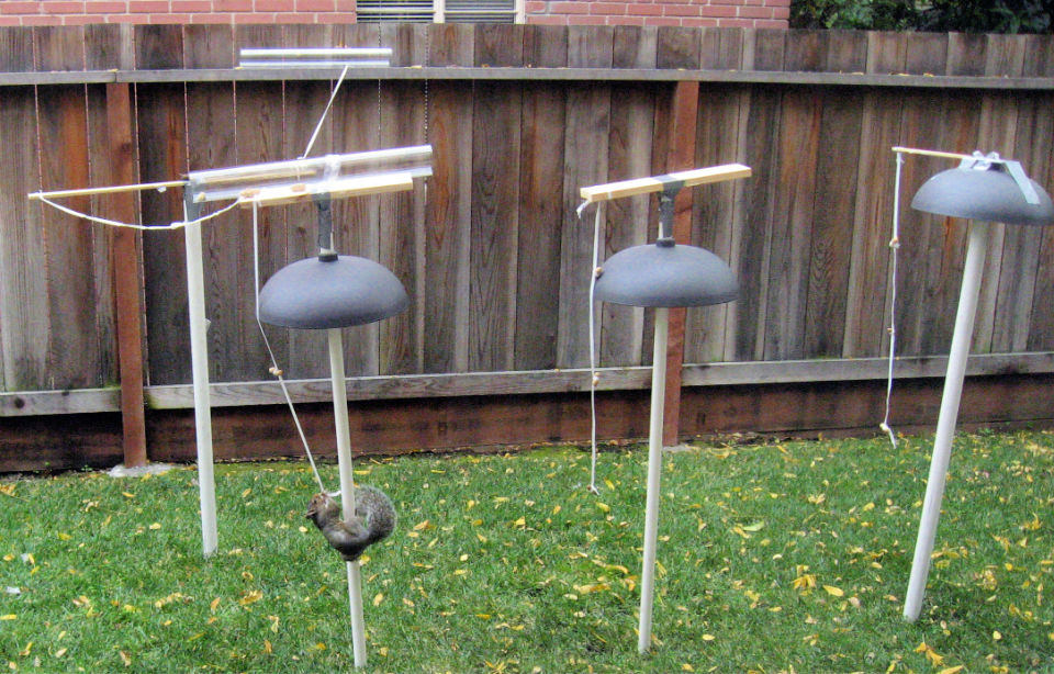 DIY Squirrel Baffle - Step by Step Guide - Blitsy