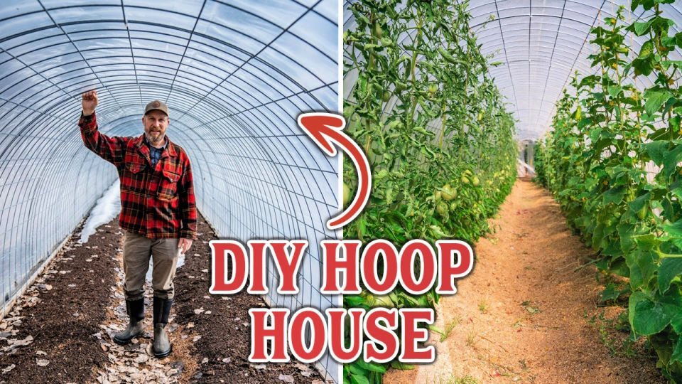 DIY Hoop House to Extend Your Growing Season - Blitsy