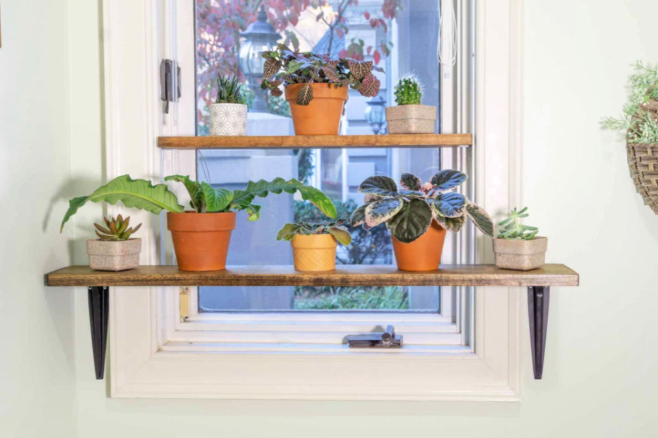 DIY Window Plant Shelf to Elevate Your Indoor Garden - Blitsy