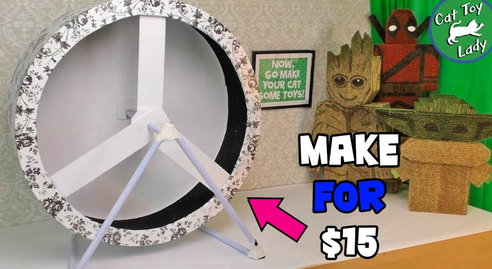 DIY Cat Wheel for Your Feline Friend - Blitsy