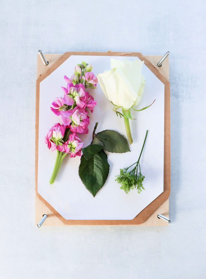 DIY Flower Press to Preserve Your Favorite Blooms - Blitsy