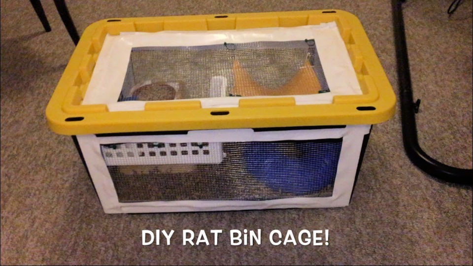 DIY Rat Cage - Step by Step Guide - Blitsy