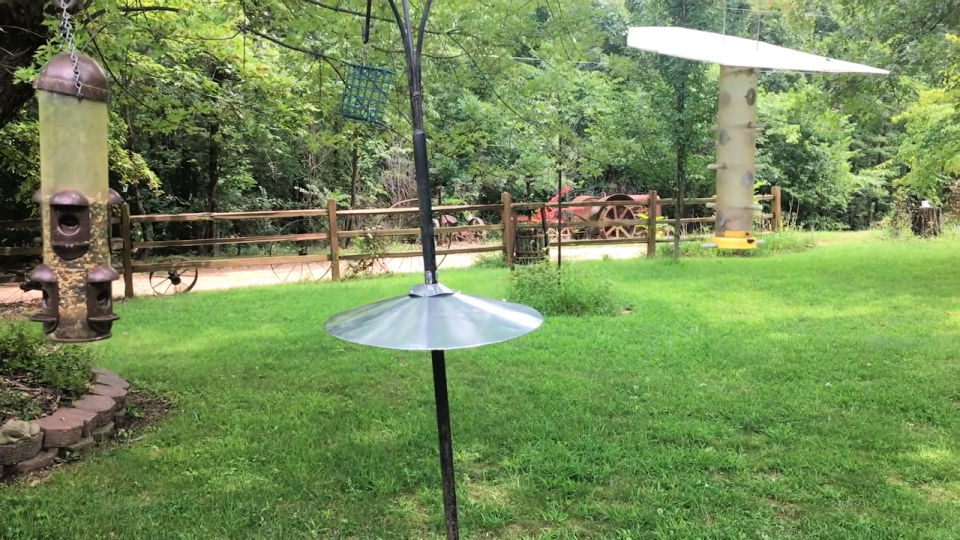 DIY Squirrel Baffle - Step by Step Guide - Blitsy