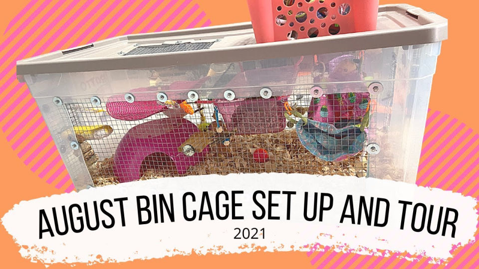 DIY Rat Cage - Step by Step Guide - Blitsy