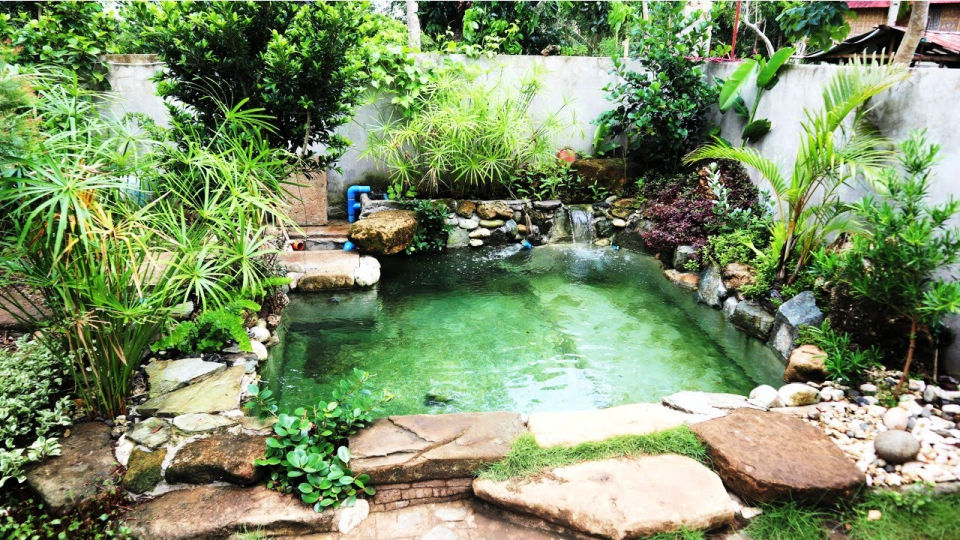 DIY Koi Pond Your Backyard Oasis - Blitsy