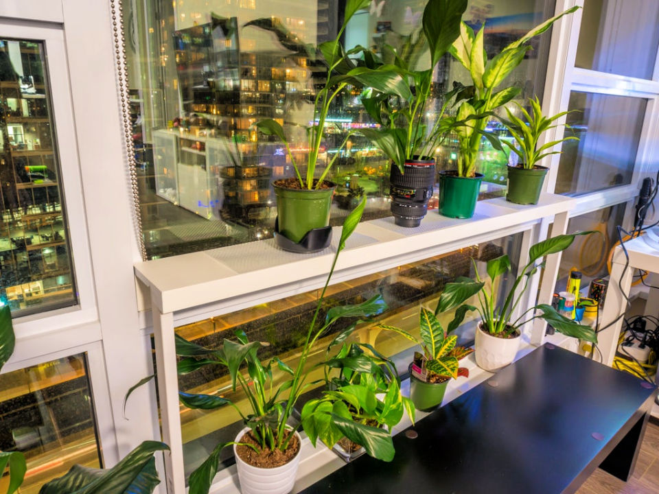DIY Window Plant Shelf to Elevate Your Indoor Garden - Blitsy