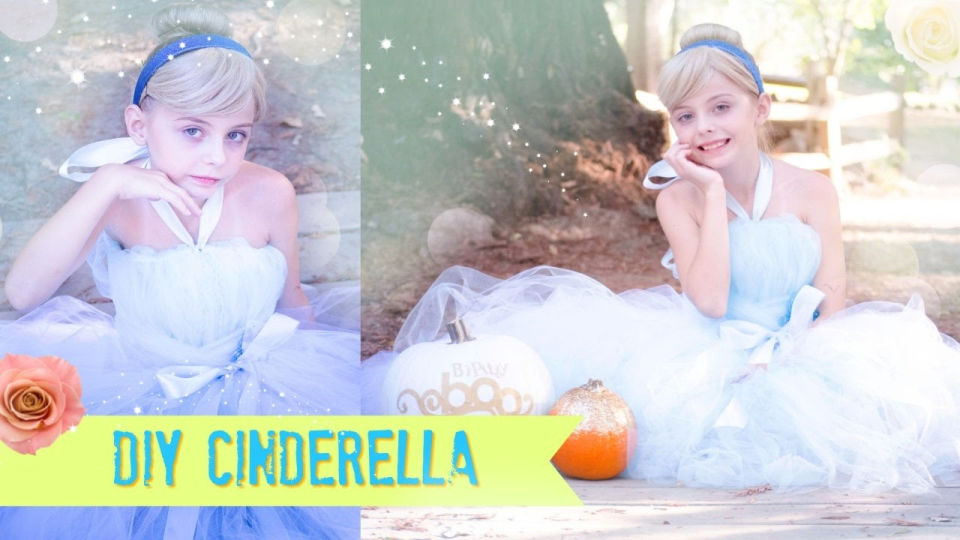 25 Fabulous DIY Cinderella Costume Ideas - Blitsy