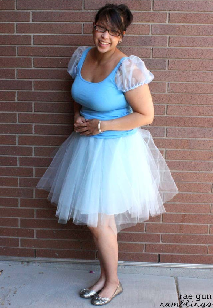 25 Fabulous DIY Cinderella Costume Ideas - Blitsy
