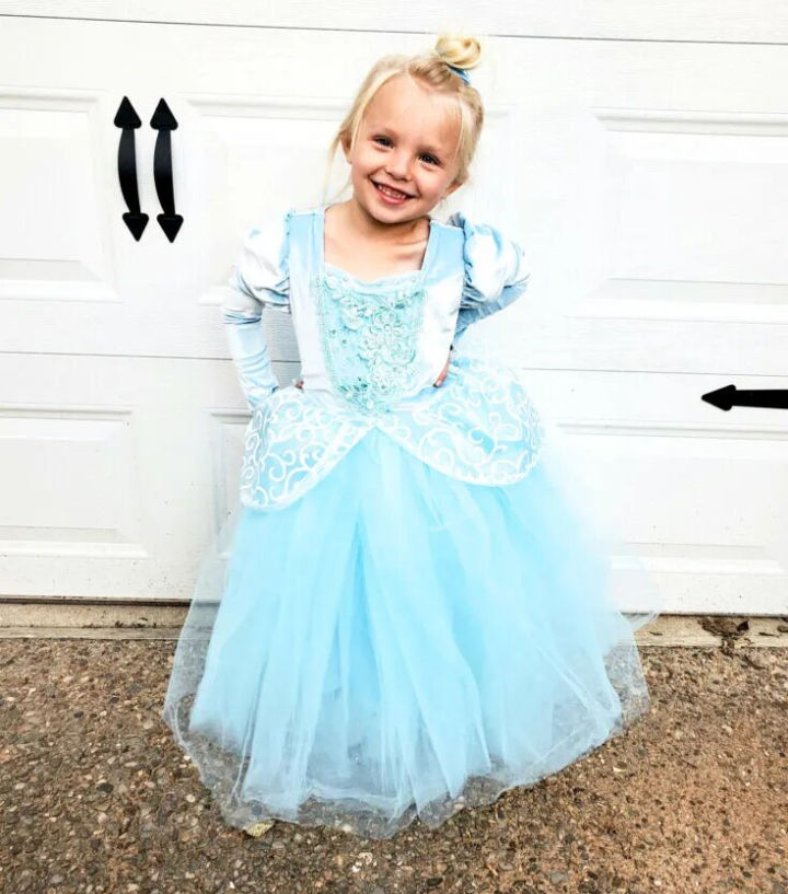 25 Fabulous DIY Cinderella Costume Ideas - Blitsy