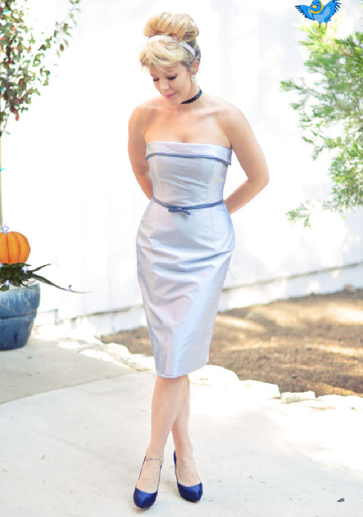 25 Fabulous DIY Cinderella Costume Ideas - Blitsy