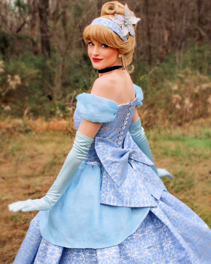 25 Fabulous DIY Cinderella Costume Ideas - Blitsy