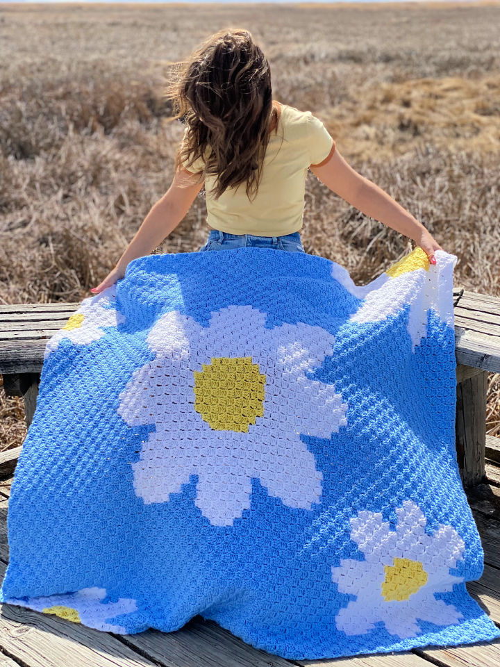40 Free c2c Crochet Patterns (How to With Easy Pattern)