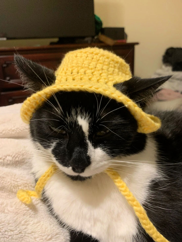 15 Free Crochet Hat Patterns for Cats (Cat Hat Pattern)