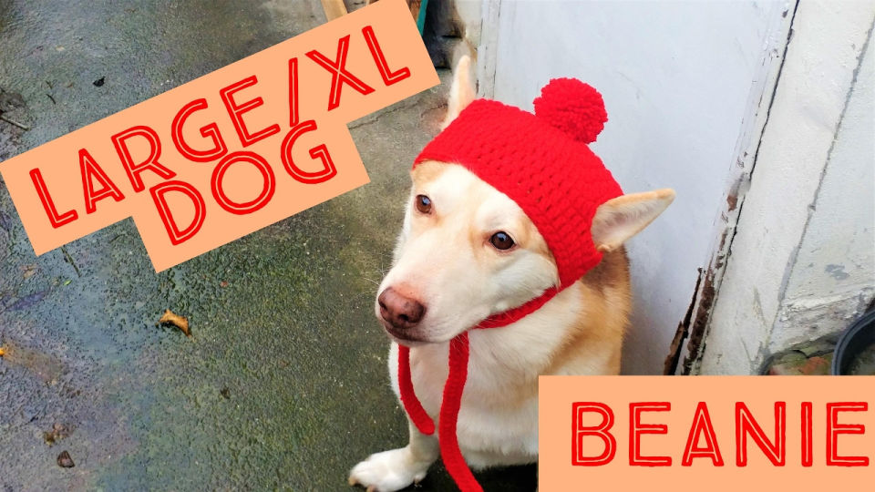 20 Free Crochet Dog Hat Patterns (Detailed Pattern) - Blitsy