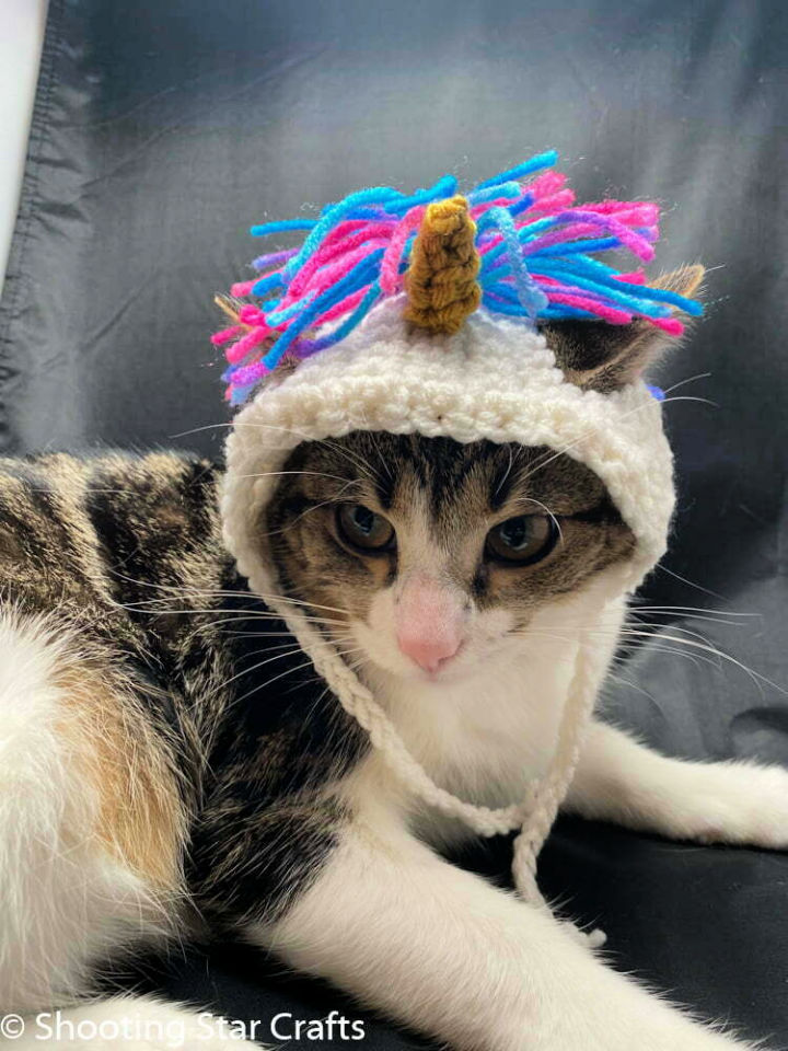 15 Free Crochet Hat Patterns for Cats (Cat Hat Pattern)
