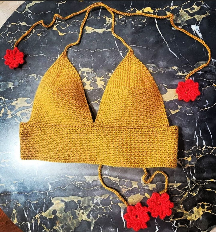 25 Free Crochet Bralette Patterns (Bra Top Pattern)